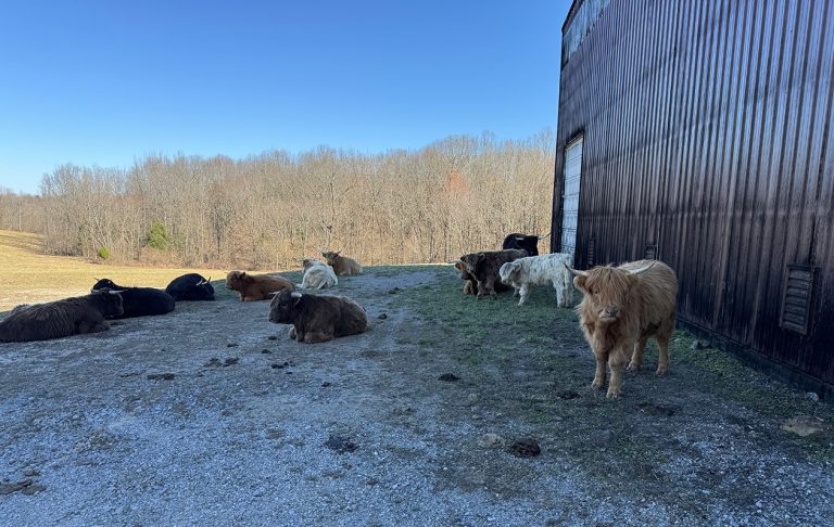 Private Barrel Selection | Coal Pick Distillery