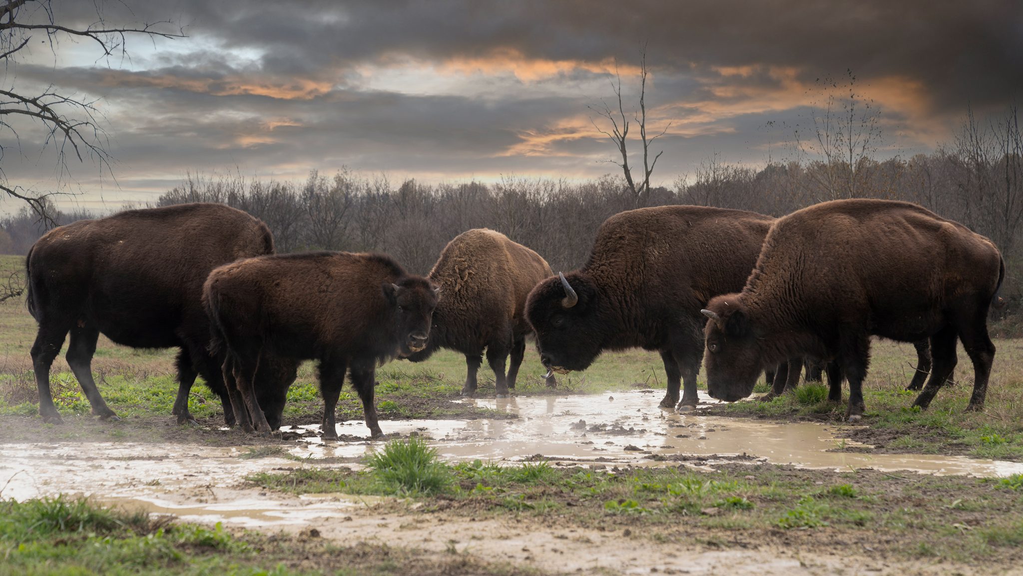 Kentucky’s Hidden Gem: Life on Coal Pick’s 4,000 Acres | Coal Pick ...